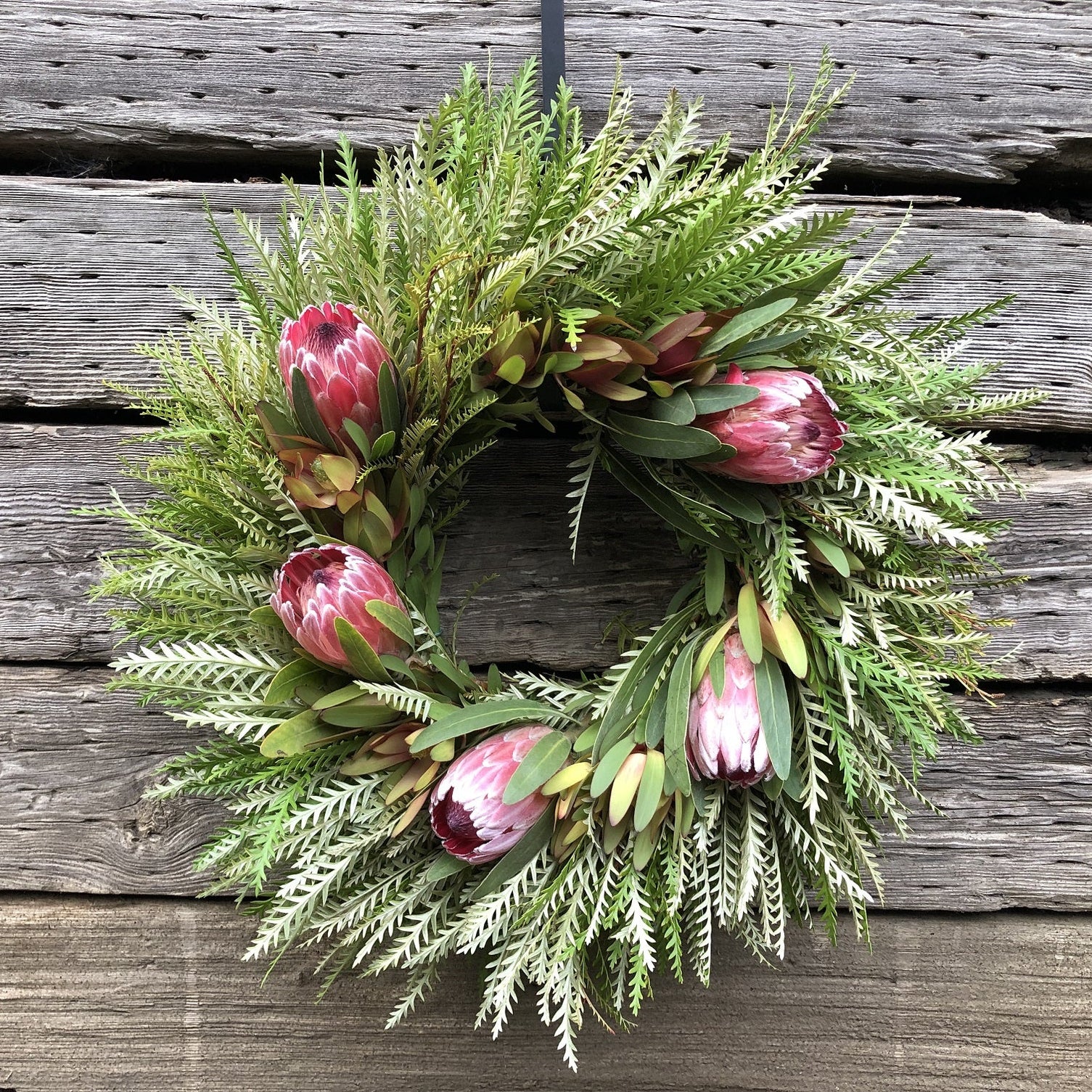 Fresh Protea & Silky Oak Wreath Real Live Leaves [Free Overnight Deliv ...