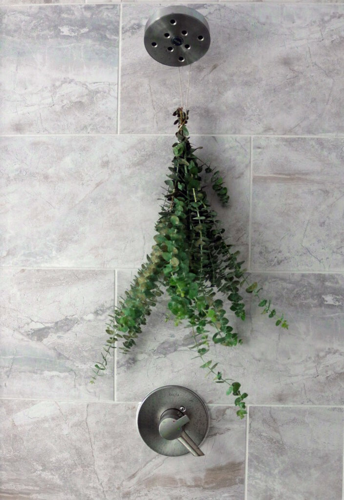 Eucalyptus For Your Shower Fresh + Original Self Care – theselfcareshower