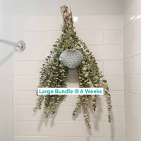 Original Eucalyptus Bundle | For Shower or Home | Self-Care Shower