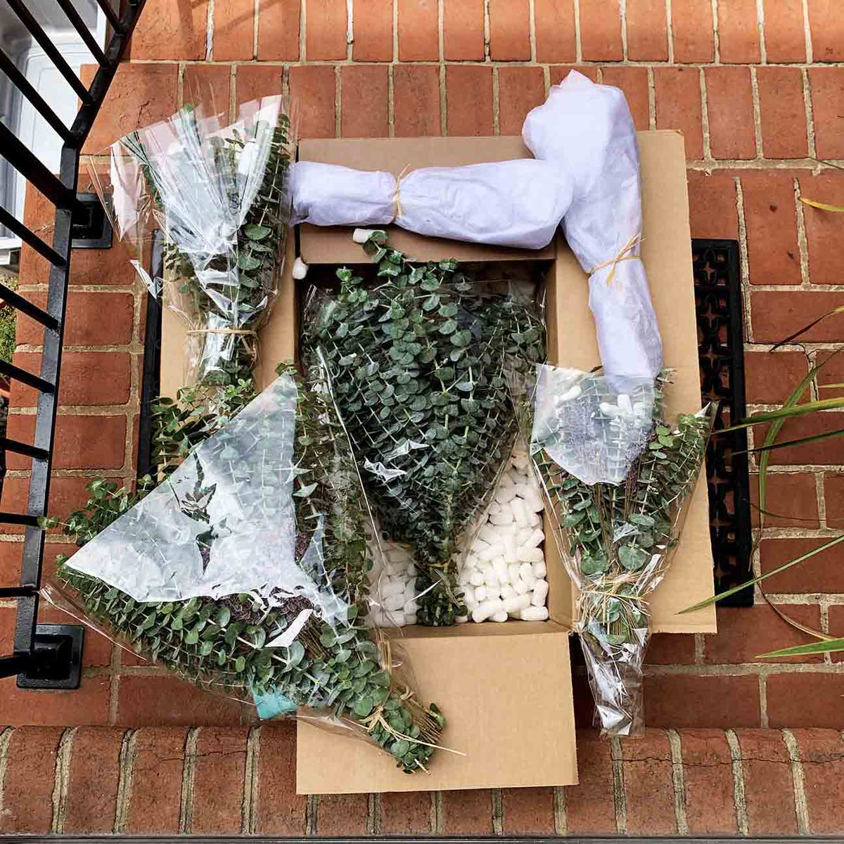 All Eucalyptus Shower Bundles | Self-Care | Self-Care Shower